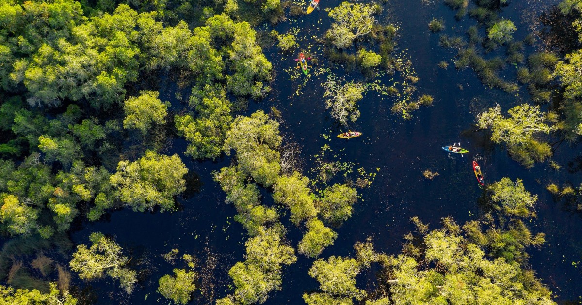 Our Mission | Conservation Finance Network